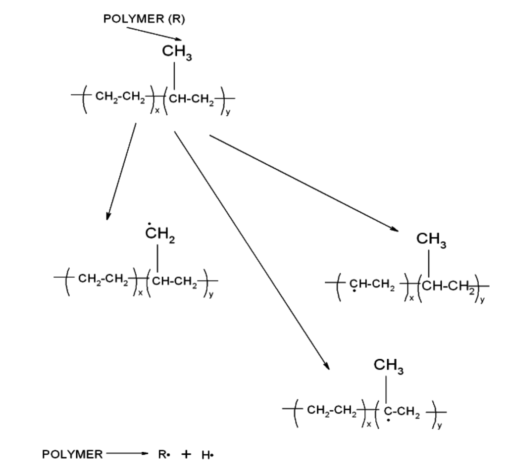 Flavonoids as Natural Stabilizers and Color Indicators of Ageing for ...