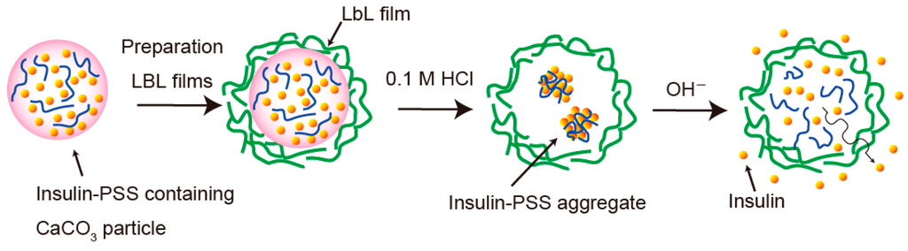 pH-Dependent Release of Insulin from Layer-by-Layer-Deposited ...