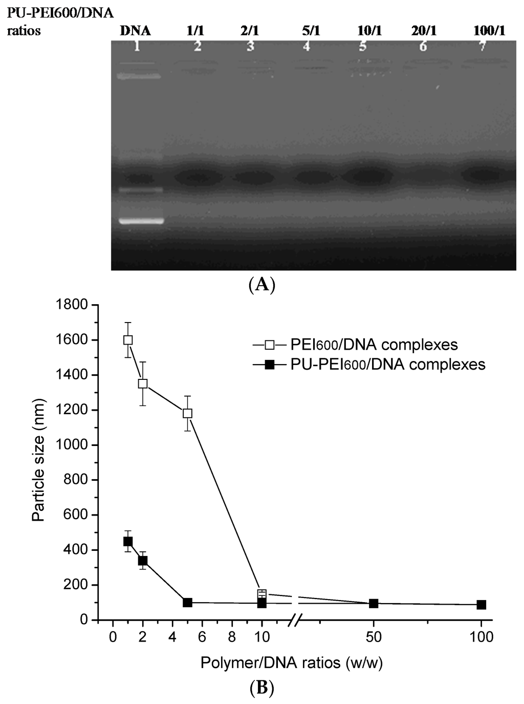 Polymers | Free Full-Text | Maleimide-Functionalized PEI600 Grafted ...