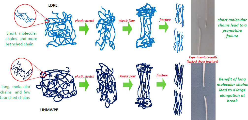 Polymers | Free Full-Text | Static and Dynamic Properties of Semi ...