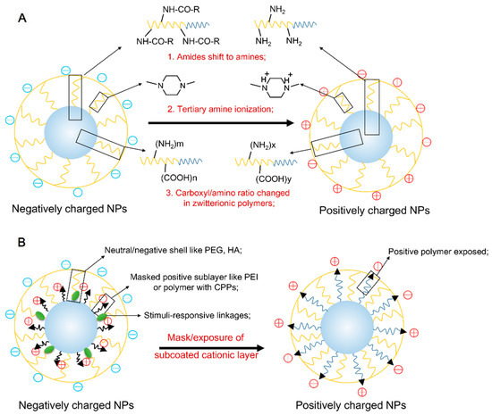 Polymers | Free Full-Text | Activated Charge-Reversal Polymeric Nano-System: The Promising ...