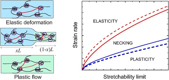 Polymers | Free Full-Text | Transient Network at Large Deformations ...