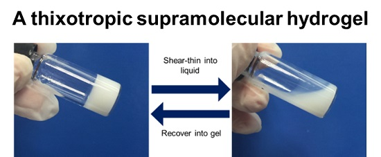 Polymers | Free Full-Text | A Thixotropic Polyglycerol Sebacate-Based ...