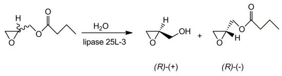 Polyglycidol, Its Derivatives, and Polyglycidol-Containing Copolymers ...