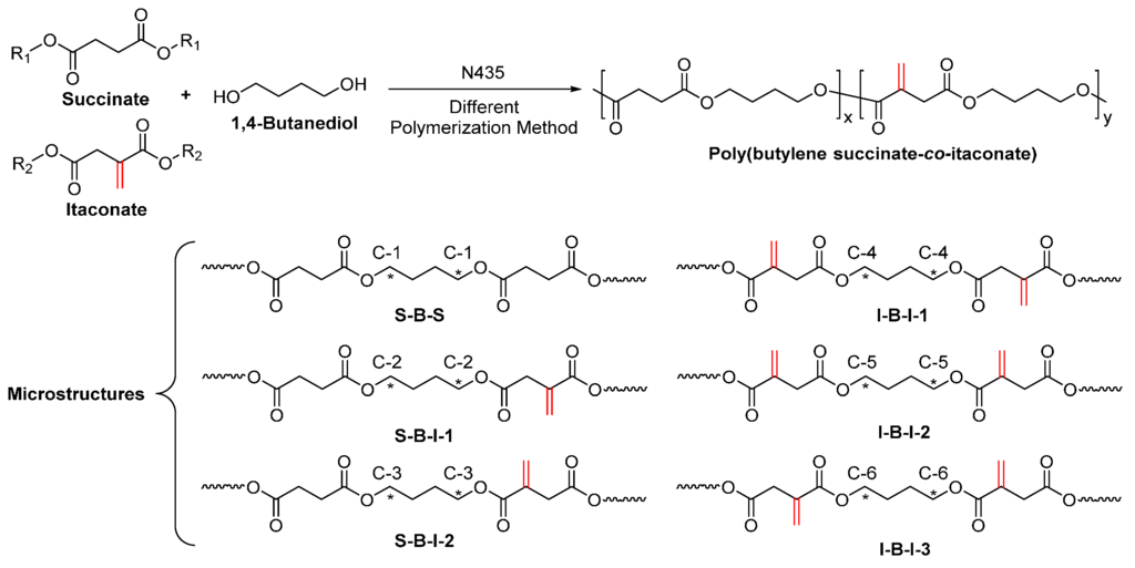 Enzymatic Synthesis of Biobased Polyesters and Polyamides