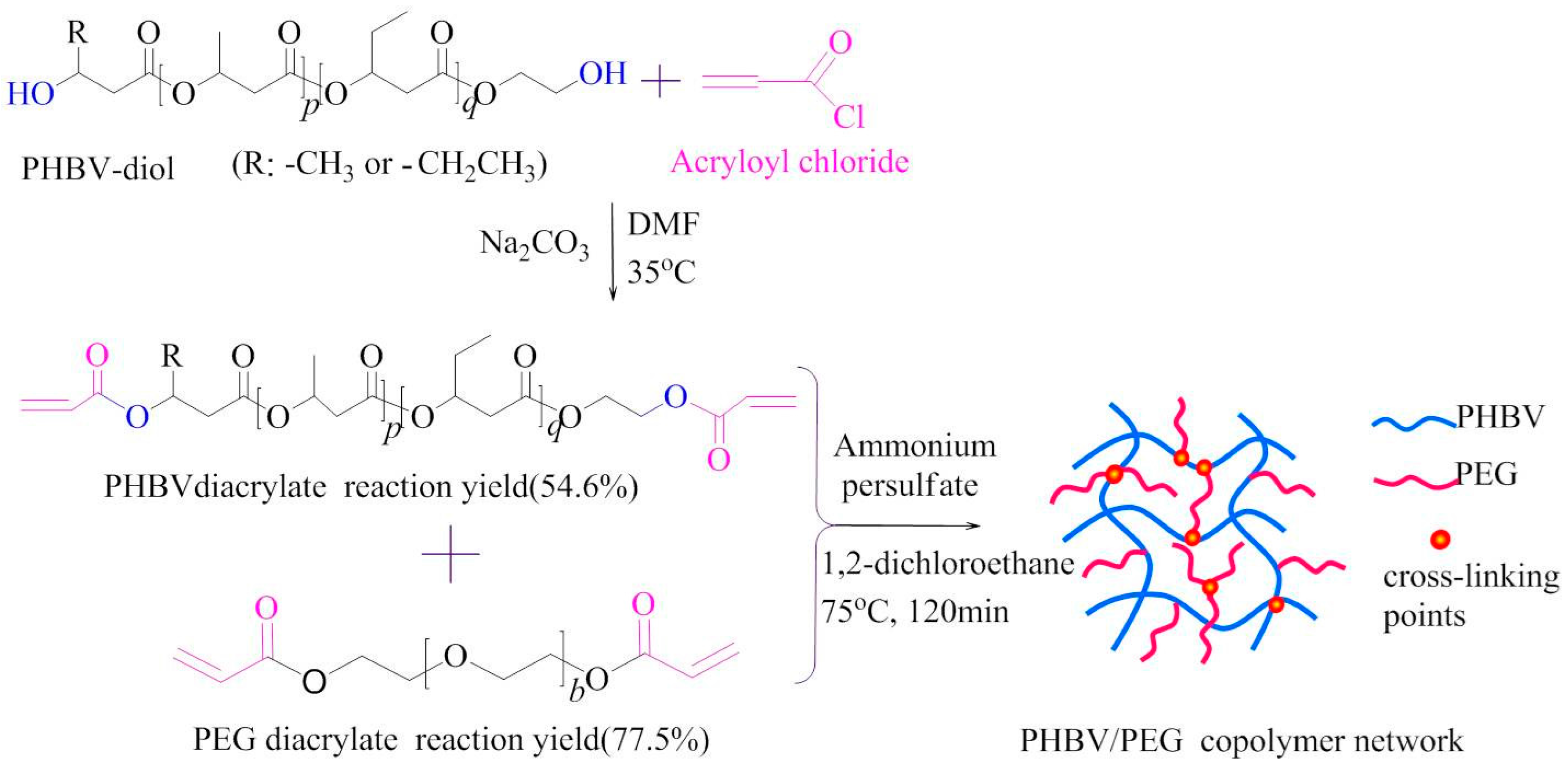 Modification and Potential Application of Short-Chain-Length ...