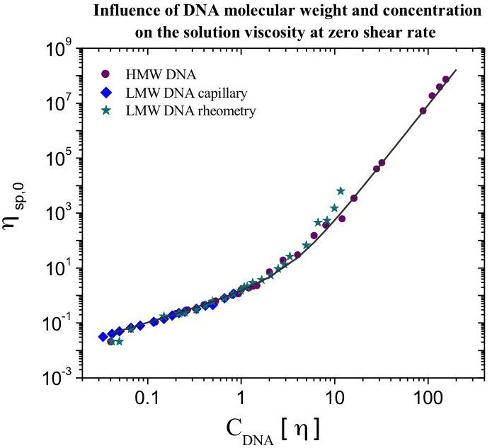 Polymers | Free Full-Text | Rheological Properties of DNA Molecules in ...