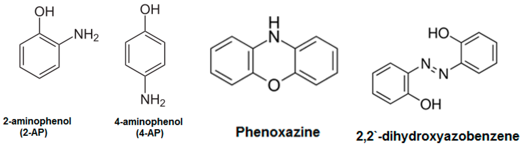 Protein-Repellence PES Membranes Using Bio-grafting of Ortho-aminophenol