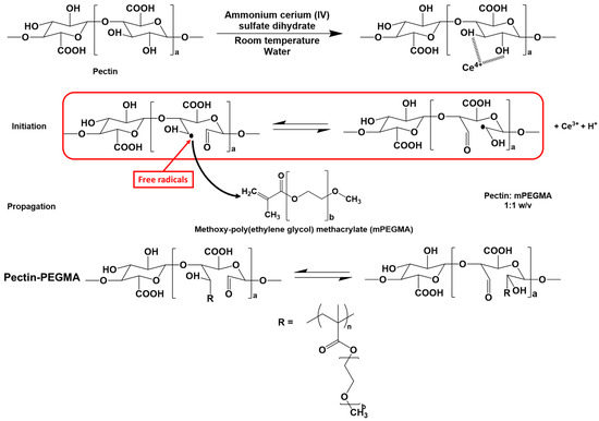 Thixotropic Supramolecular Pectin-Poly(Ethylene Glycol) Methacrylate ...