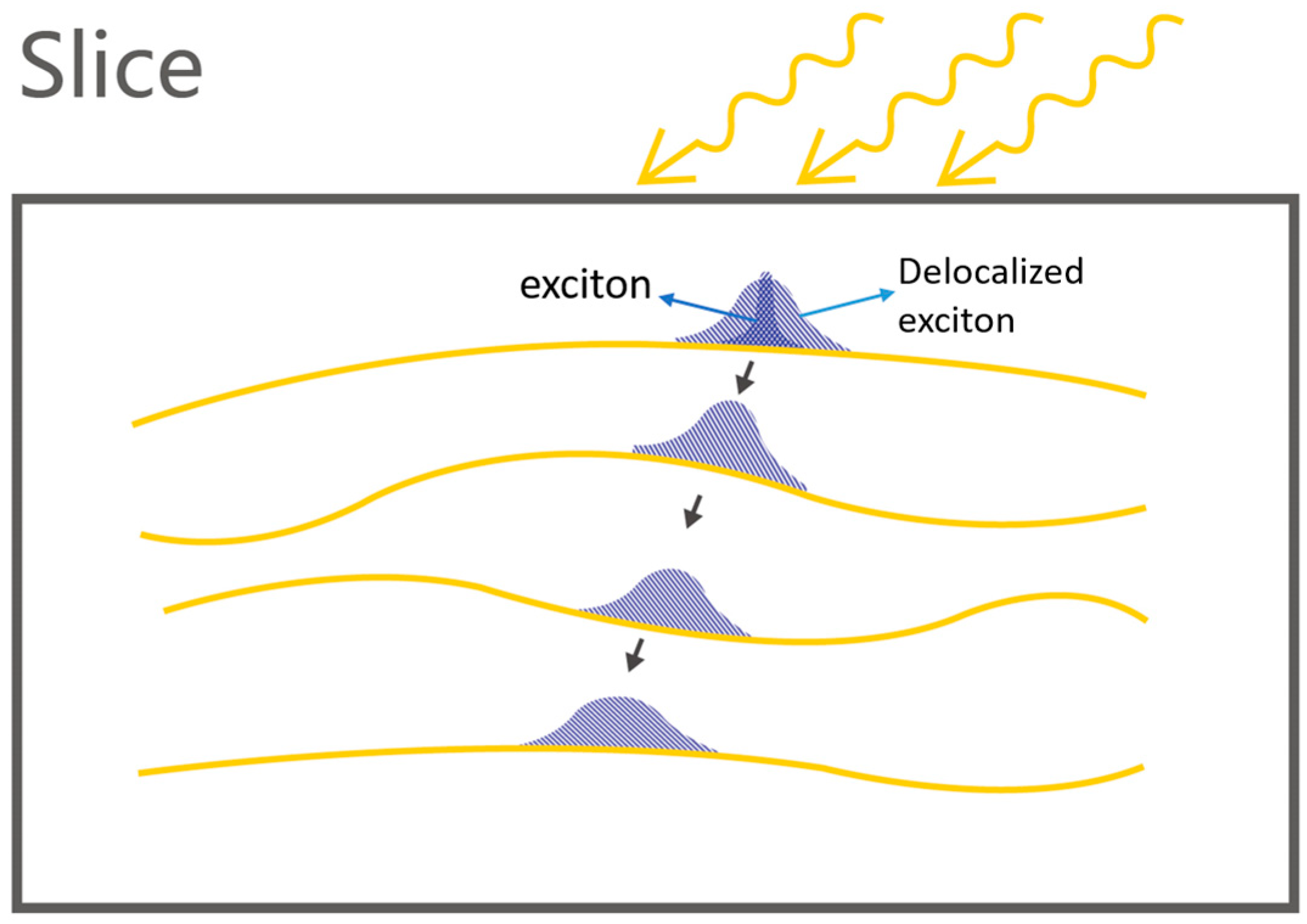 Intrinsic Delocalization during the Decay of Excitons in Polymeric ...