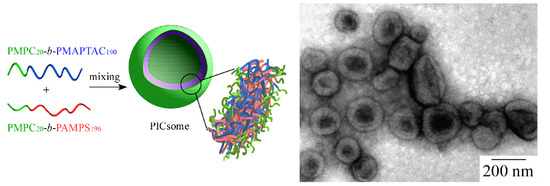 Polymers | Free Full-Text | Polyion Complex Vesicles with Solvated ...