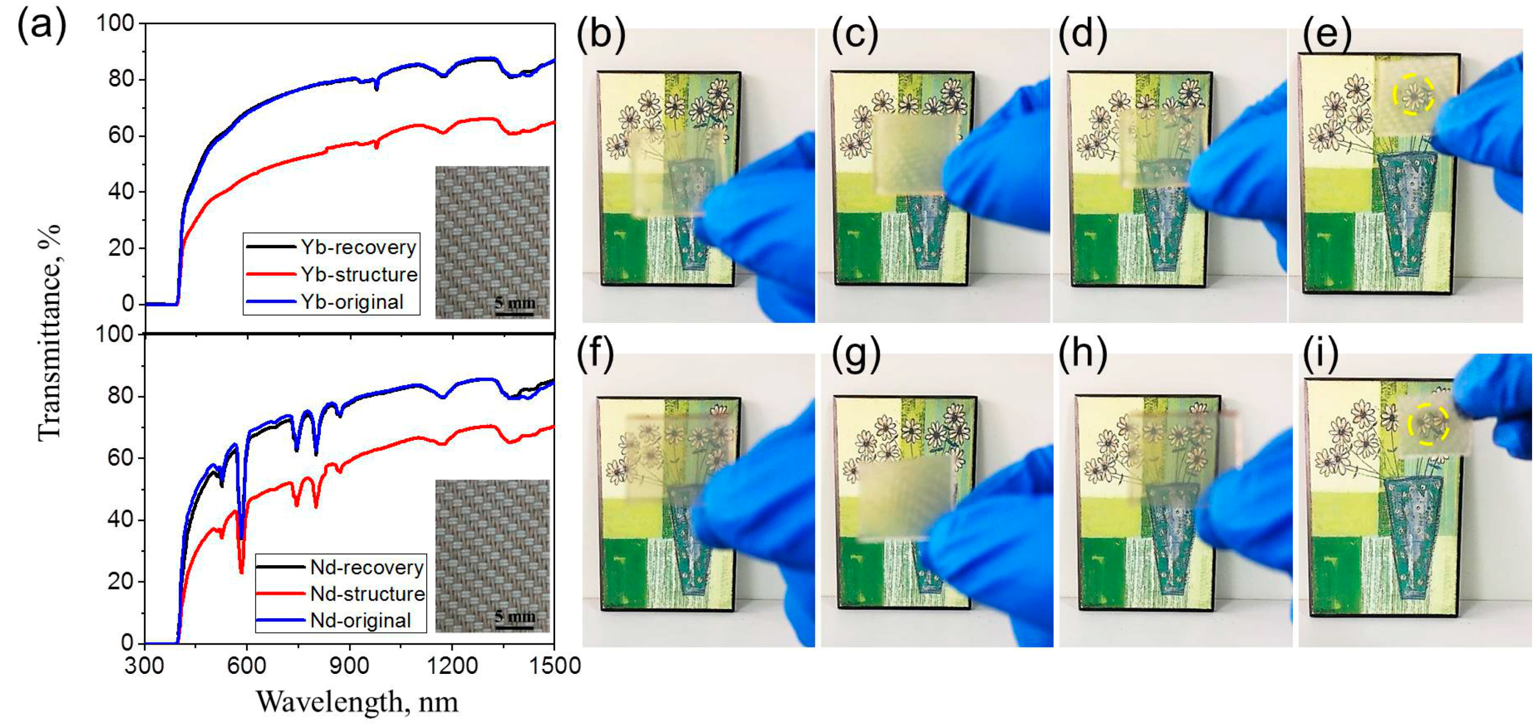 Synthesis and Study of Shape-Memory Polymers Selectively Induced by ...