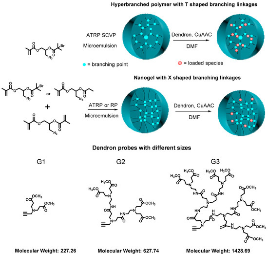 Polymers | Free Full-Text | Recent Progress on Hyperbranched Polymers ...