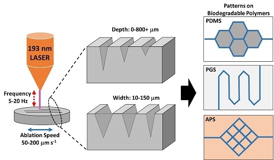 Polymers | Free Full-Text | Direct Micromachining of Microfluidic Channels on Biodegradable ...