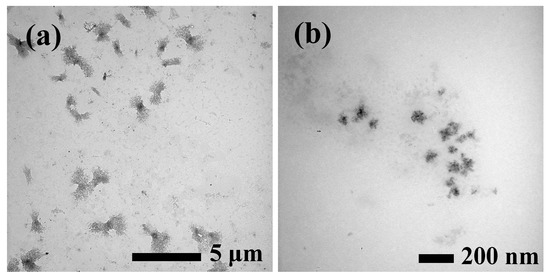 Preparation and Characterization of Chitosan/Soy Protein Isolate Nanocomposite Film Reinforced ...