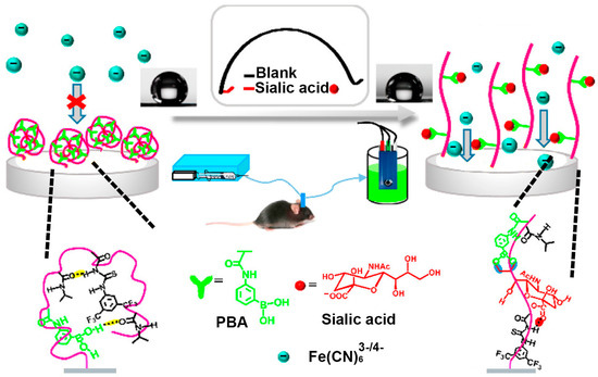 Polymers | Free Full-Text | Sialic Acid-Targeted Biointerface Materials ...