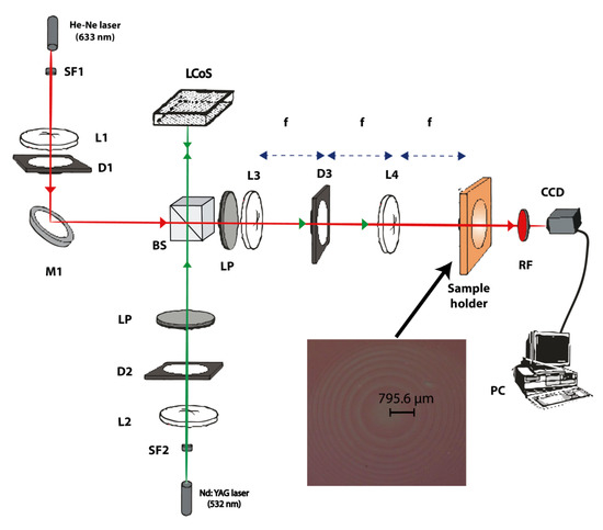 Modeling Diffractive Lenses Recording in Environmentally Friendly ...