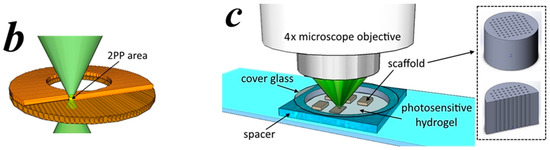 Two-Photon-Induced Microstereolithography of Chitosan-g-Oligolactides ...