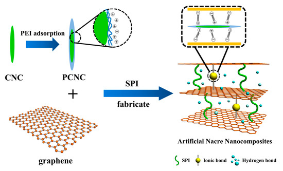 Improvement in Functional Properties of Soy Protein Isolate-Based Film by Cellulose Nanocrystal ...
