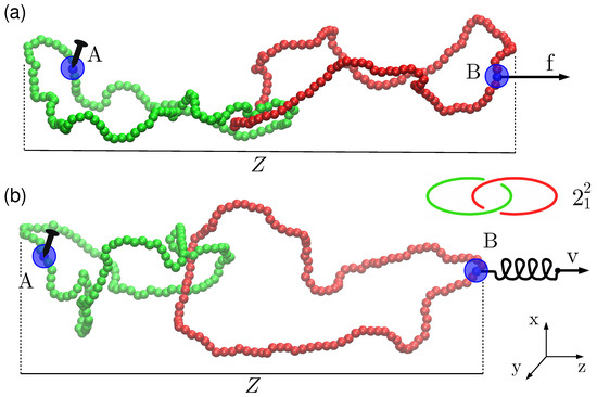 Mechanical Pulling of Linked Ring Polymers: Elastic Response and Link ...