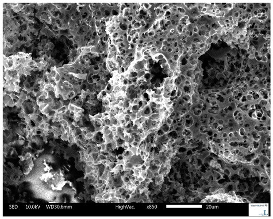 Membranes Based on Cellulose Nanofibers and Activated Carbon for ...