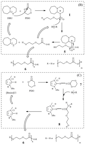 Organic Catalysis for Ring-Opening Graft Polymerization of p-Dioxanone ...