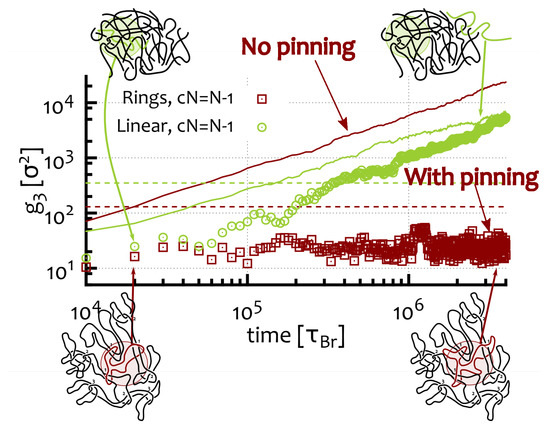 Ring Polymers: Threadings, Knot Electrophoresis and Topological Glasses
