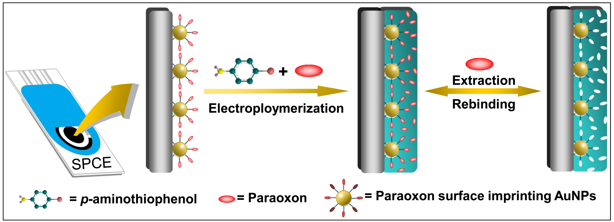 Polymers Free Full Text Surface Molecularly Imprinted Polymer Film