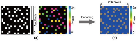 Correlation-Based Multiplexing of Complex Amplitude Data Pages in a Holographic Storage System ...