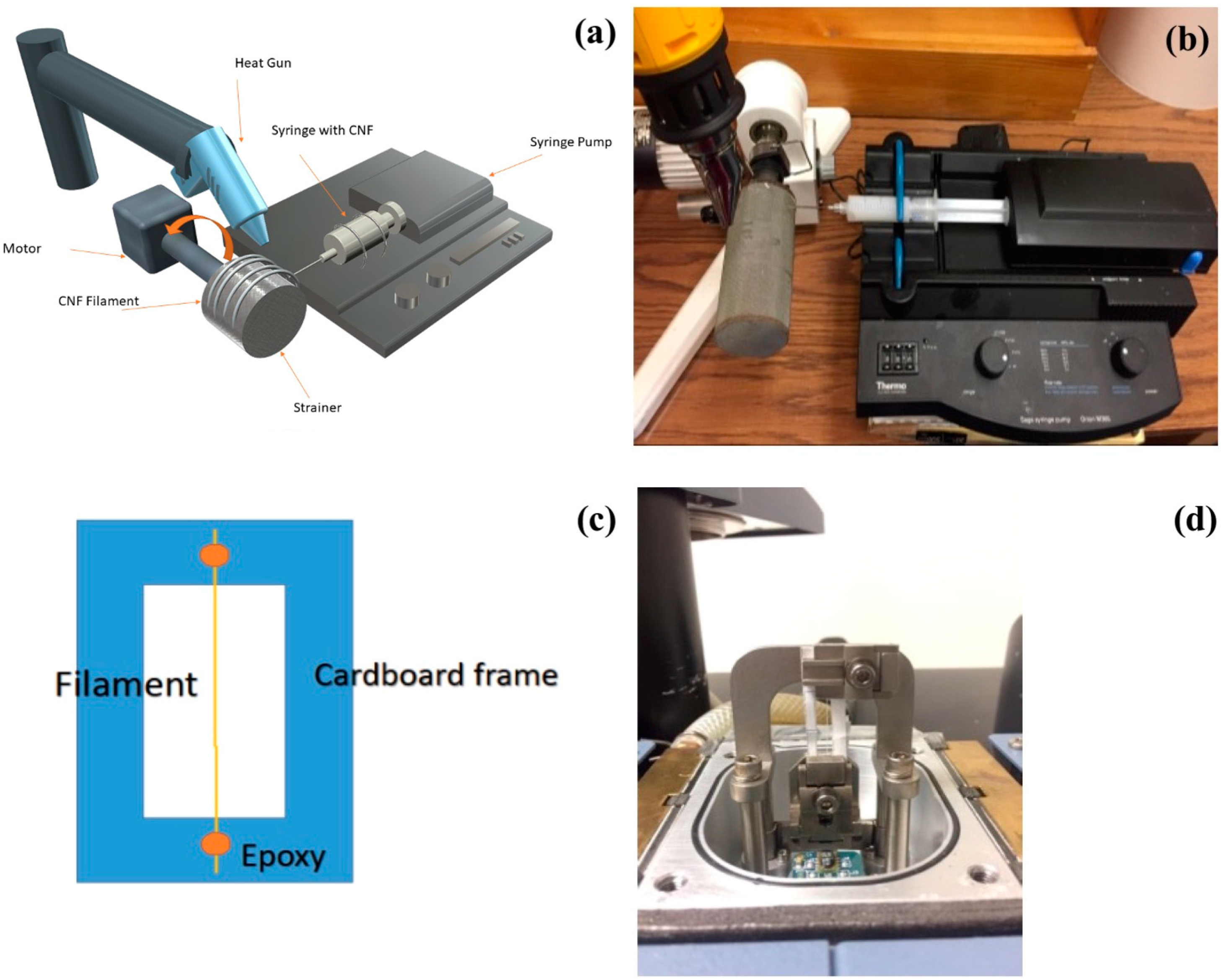 Dry-Spun Neat Cellulose Nanofibril Filaments: Influence of Drying ...