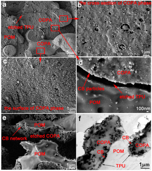 Tunable Electrical Conductivity of Carbon-Black-Filled Ternary Polymer ...