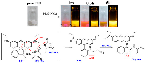 Light-Up of Rhodamine Hydrazide to Generate Emissive Initiator for ...