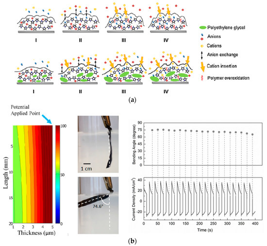 Polymers | Special Issue : Electroactive Polymers and Gels
