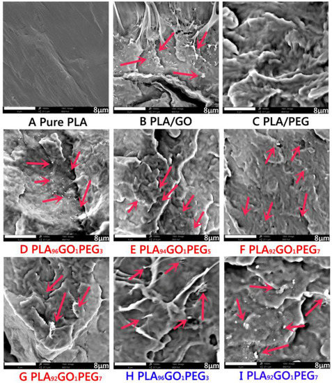 Morphology, Crystallization and Thermal Behaviors of PLA-Based ...