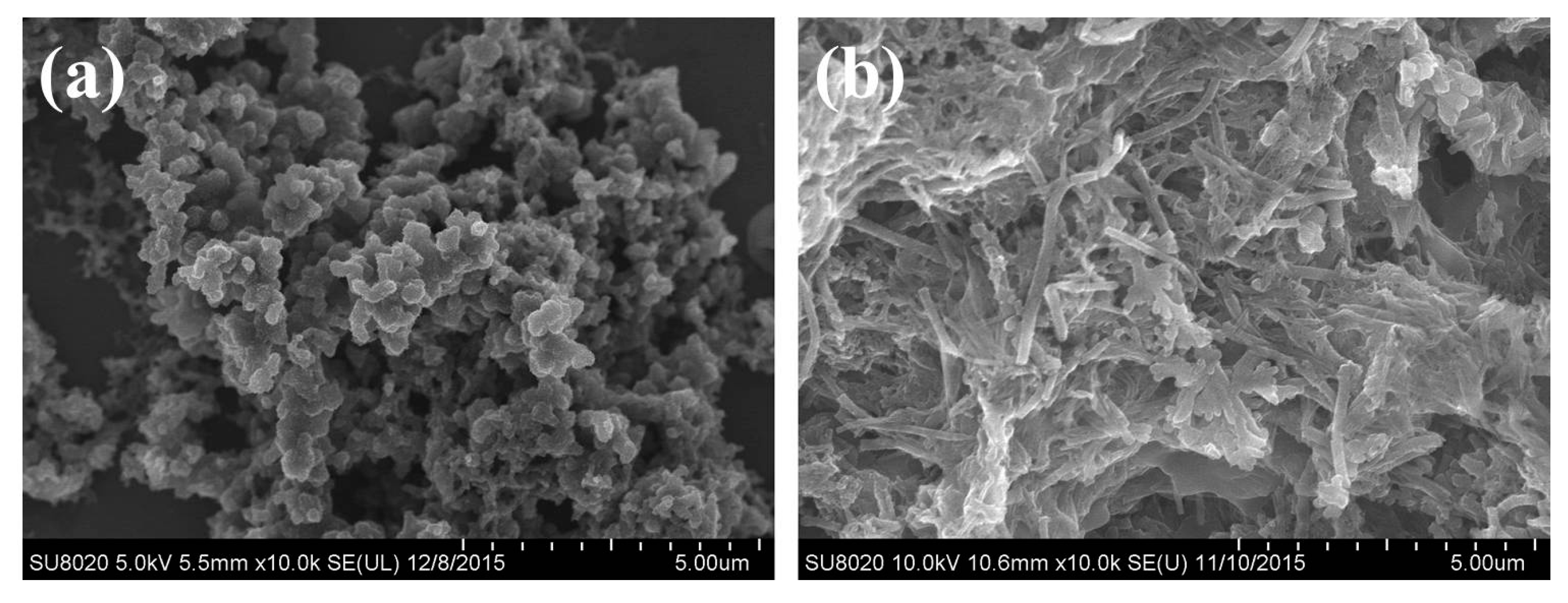Facile Synthesis of Polyaniline Nanotubes Using Self-Assembly Method ...