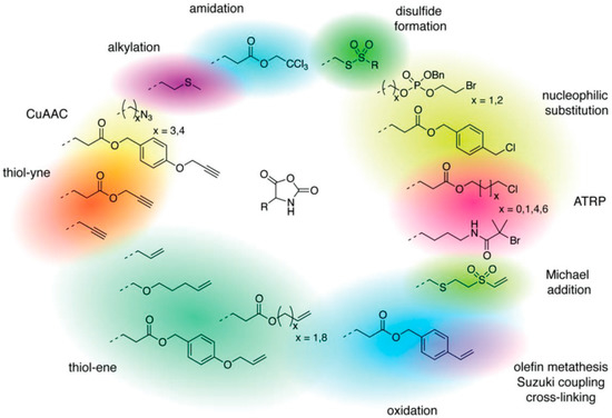 Polymers | Free Full-Text | Strategies to Fabricate Polypeptide-Based ...