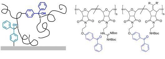 Polymers | Free Full-Text | On the Limits of Benzophenone as Cross ...