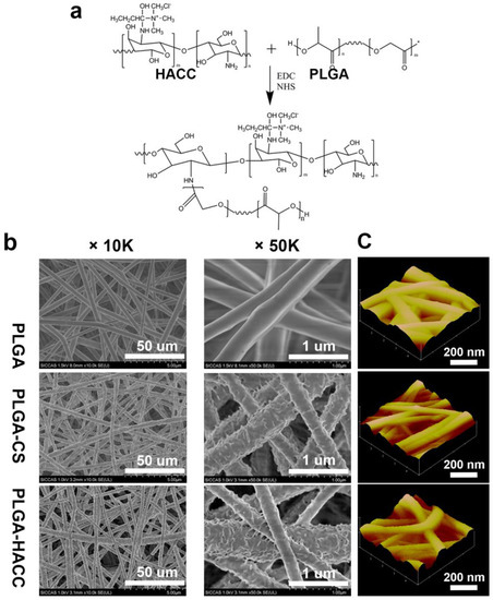 Hydroxypropyltrimethyl Ammonium Chloride Chitosan Functionalized-PLGA ...