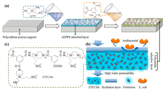 Polymers | Special Issue : Polymeric Membranes