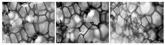 Shape Memory Behavior of PET Foams