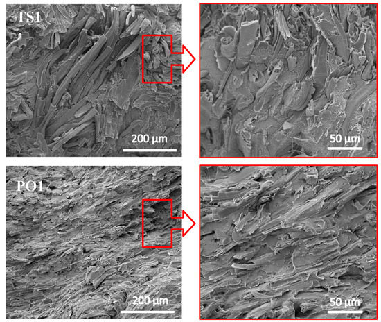 The Dispersion of Pulp-Fiber in High-Density Polyethylene via Different ...