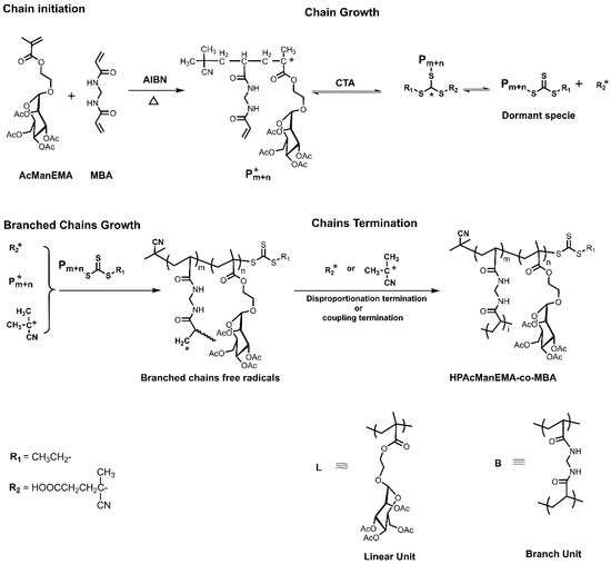 Polymers | Special Issue : Hydrophilic Polymers