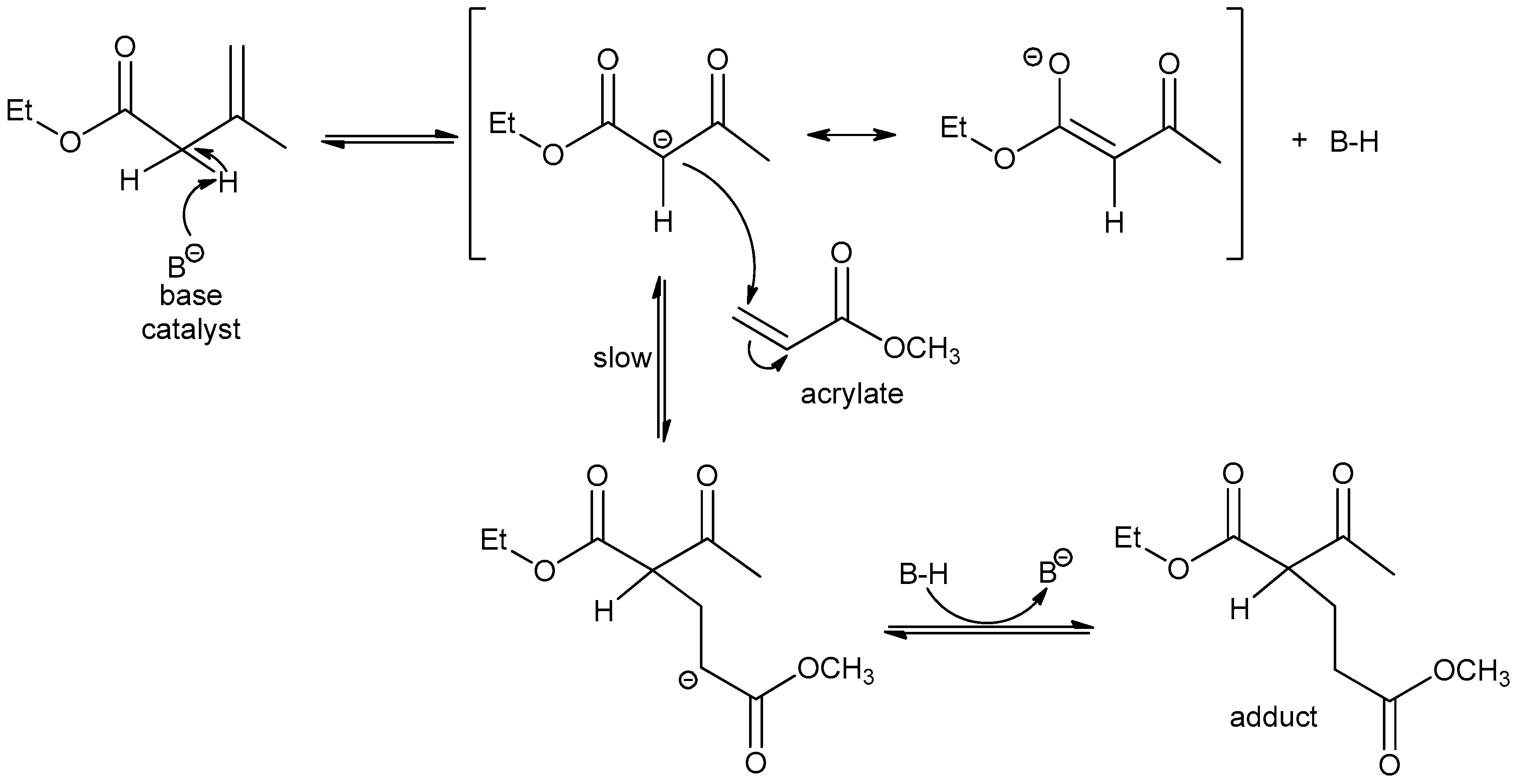 Acrylate Polymerization Mechanism