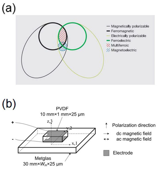 Properties and Applications of the β Phase Poly(vinylidene fluoride)
