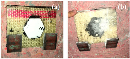Fique Fabric: A Promising Reinforcement for Polymer Composites