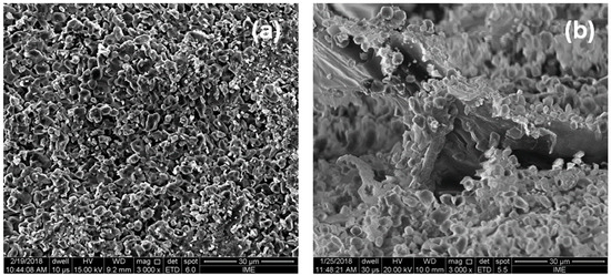 Fique Fabric: A Promising Reinforcement for Polymer Composites