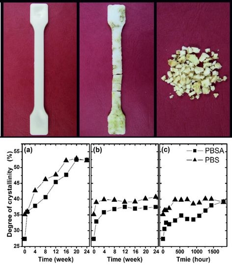 Polymers | Free Full-Text | Molecular and Supramolecular Changes in ...