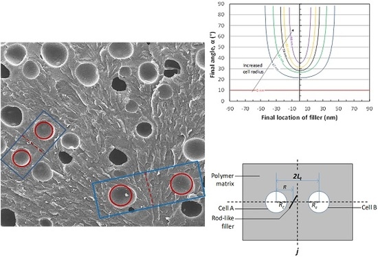 Polymers | Free Full-Text | Modelling of Rod-Like Fillers’ Rotation and ...