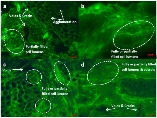Revealing the Interface Structure and Bonding Mechanism of Coupling ...