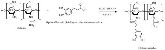 Chitosan and Its Derivatives for Application in Mucoadhesive Drug ...